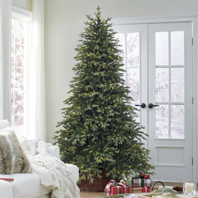 Down Swept Slim Pine Tree, Set of Three | Grandin Road