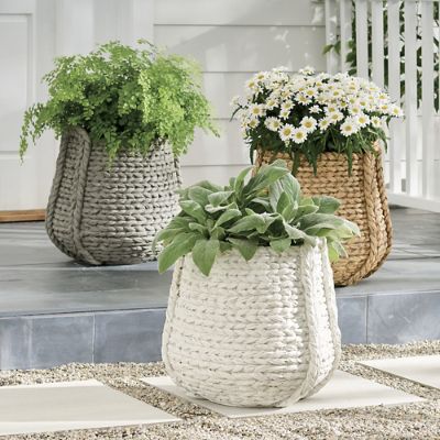 Hammered Stainless Steel Planter | Grandin Road