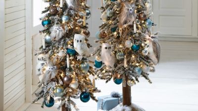 Northern Lights Ornament Sets | Grandin Road